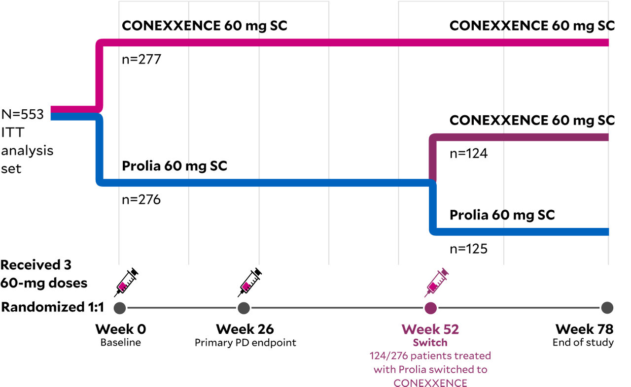 Totality of Evidence - CONEXXENCE® (denosumab-bnht) | Fresenius Kabi